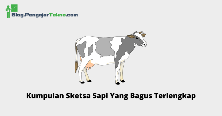Kumpulan Sketsa Sapi Yang Bagus Terlengkap - Blog Pengajar Tekno