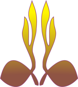 Kumpulan Logo Wosm PNG Terbagus dan Terlengkap - Blog Pengajar Tekno