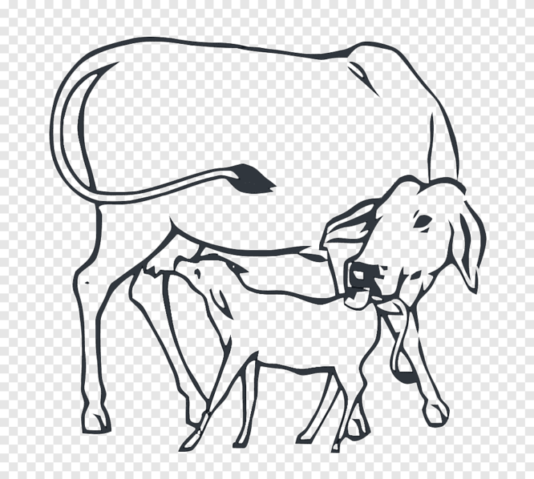 Kumpulan Gambar Mewarnai Sapi Yang Siap Untuk Diwarnai! - Blog Pengajar ...
