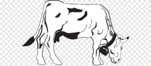 Kumpulan Gambar Mewarnai Sapi Yang Siap Untuk Diwarnai! - Blog Pengajar ...