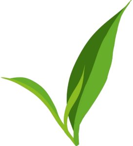 Kumpulan Logo Teh Pucuk Terbagus dan Paling Menarik - Blog Pengajar Tekno