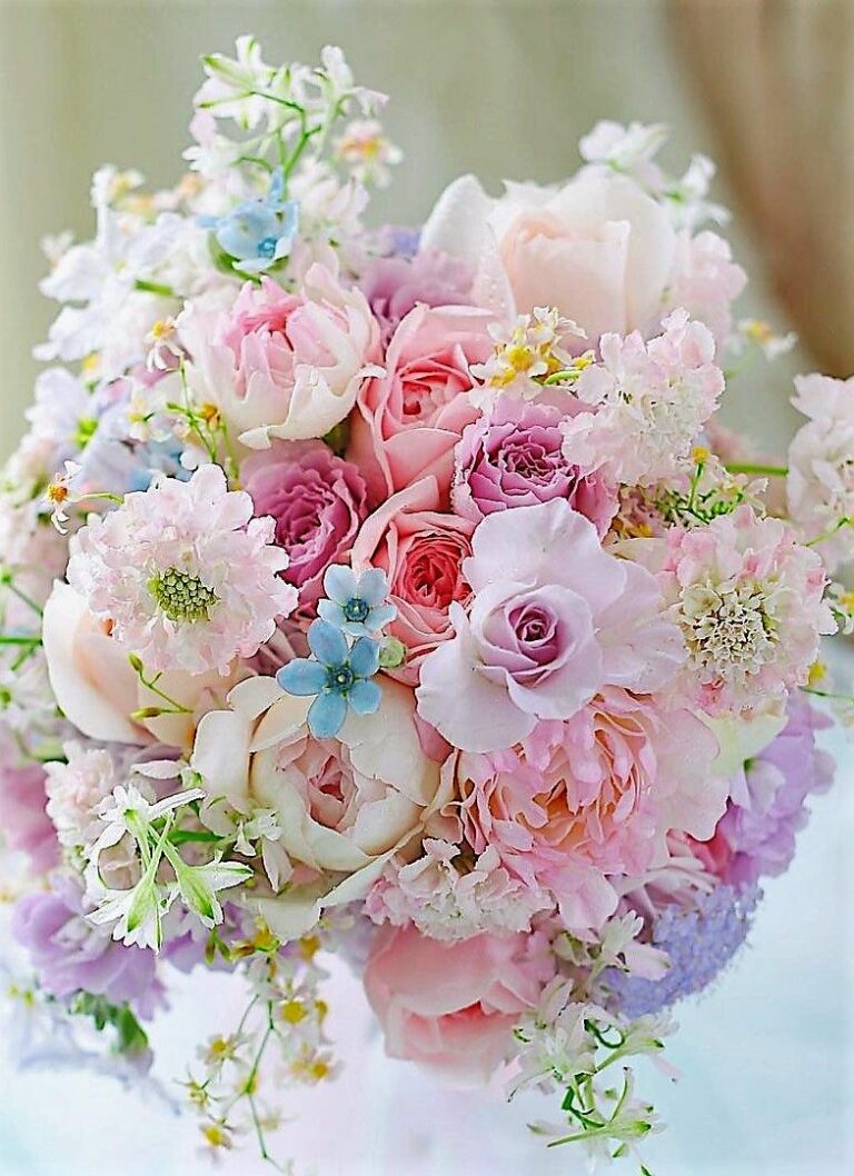 Kumpulan Gambar Bunga Cantik Terbagus dan Terlengkap - Blog Pengajar Tekno