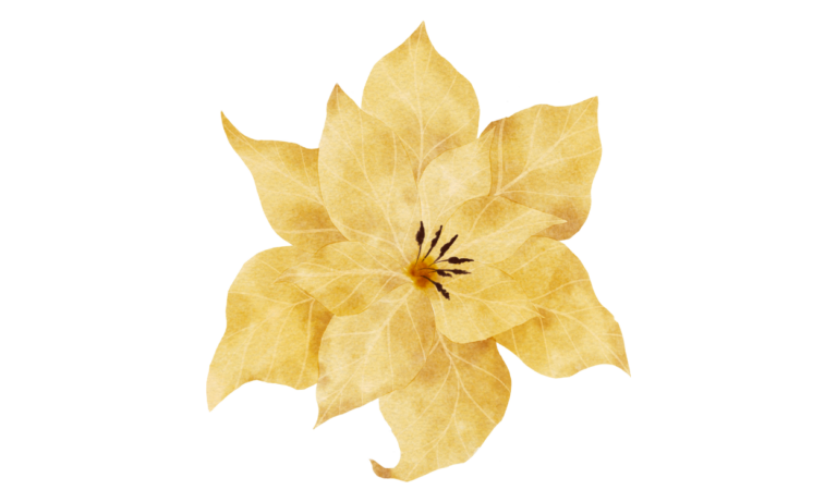 Kumpulan Gambar Bunga Kartun Terbagus dan Terlengkap - Blog Pengajar Tekno