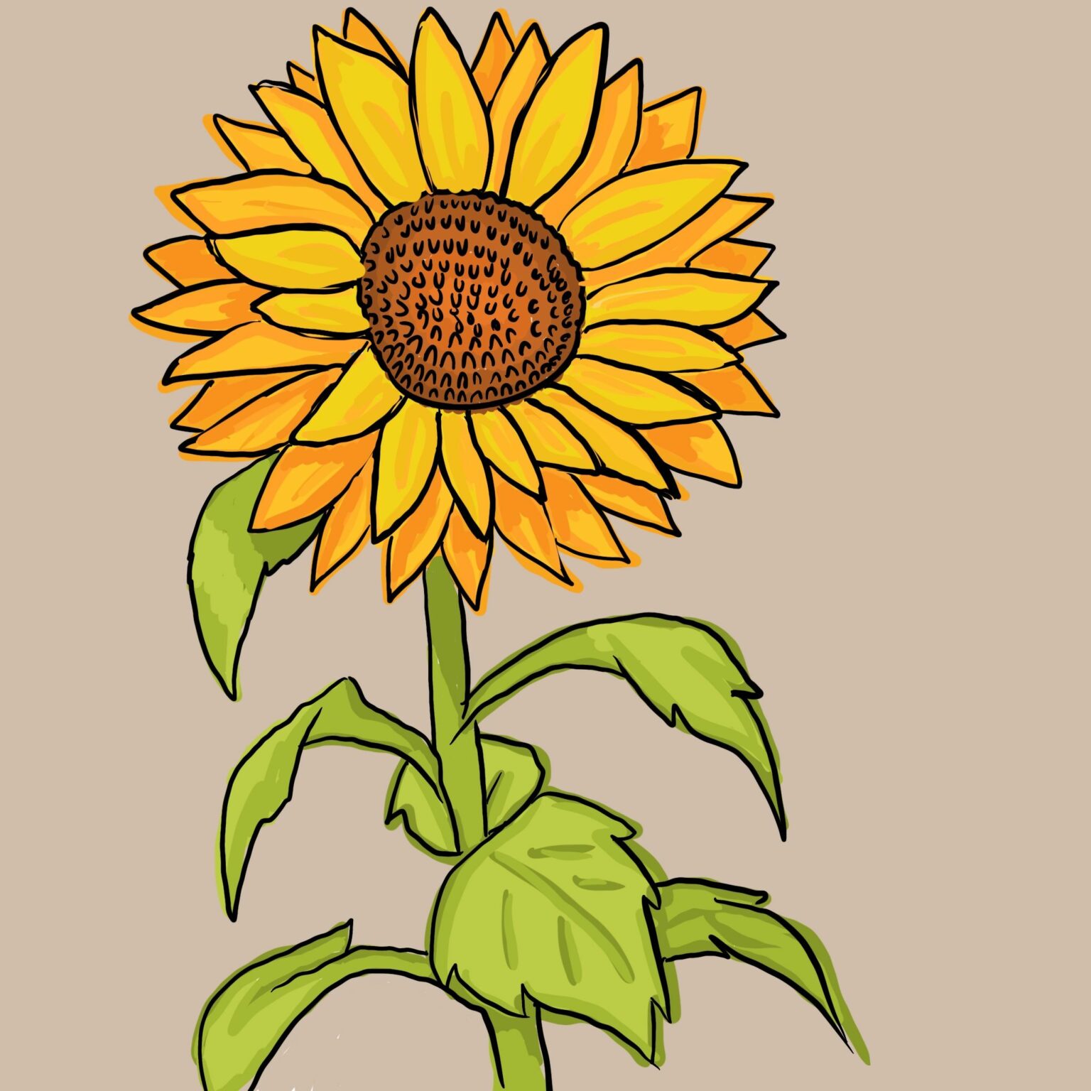 Kumpulan Gambar Bunga Matahari Kartun Terbagus dan Terlengkap - Blog ...