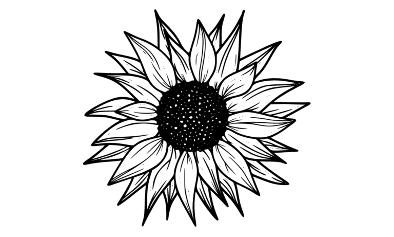 Kumpulan Gambar Bunga Matahari Sketsa Terbagus dan Terlengkap - Blog ...