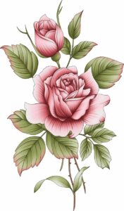 Kumpulan Gambar Bunga Mawar Kartun Terbagus dan Lengkap - Blog Pengajar ...