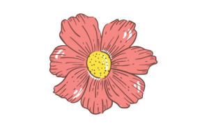 Kumpulan Gambar Bunga Yang Bagus dan Menarik Terlengkap - Blog Pengajar Tekno