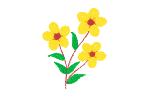 Kumpulan Gambar Bunga Yang Bagus dan Menarik Terlengkap - Blog Pengajar Tekno