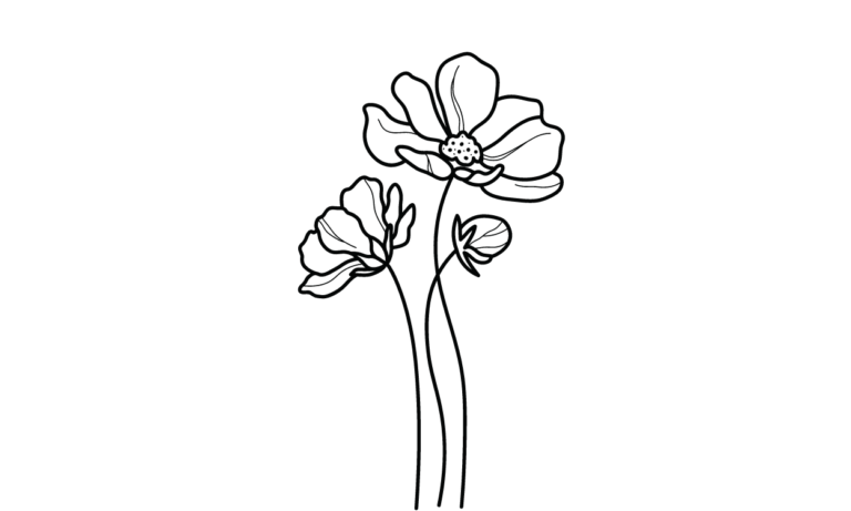 Kumpulan Gambar Bunga Yang Bagus dan Menarik Terlengkap - Blog Pengajar Tekno