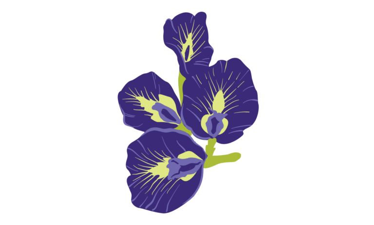 Kumpulan Gambar Bunga Yang Bagus dan Menarik Terlengkap - Blog Pengajar Tekno