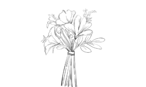 Kumpulan Gambar Bunga Yang Bagus dan Menarik Terlengkap - Blog Pengajar Tekno