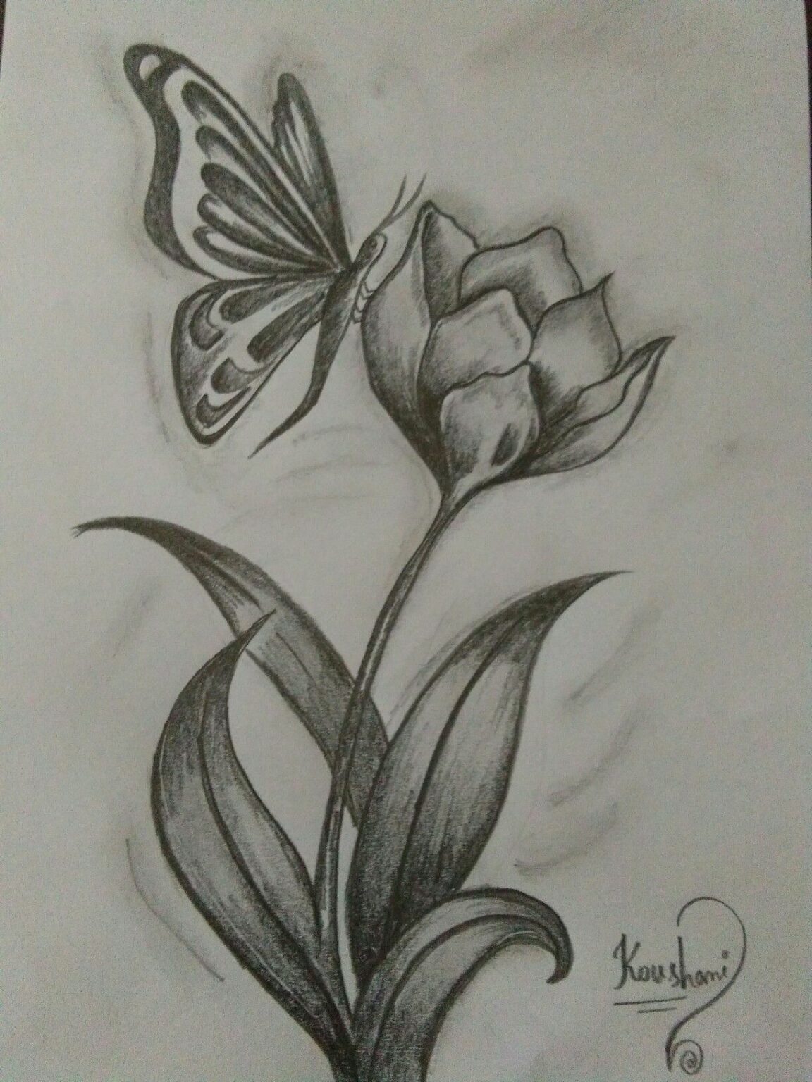 Kumpulan Gambar Sketsa Bunga Terbagus, Menarik dan Terlengkap - Blog ...