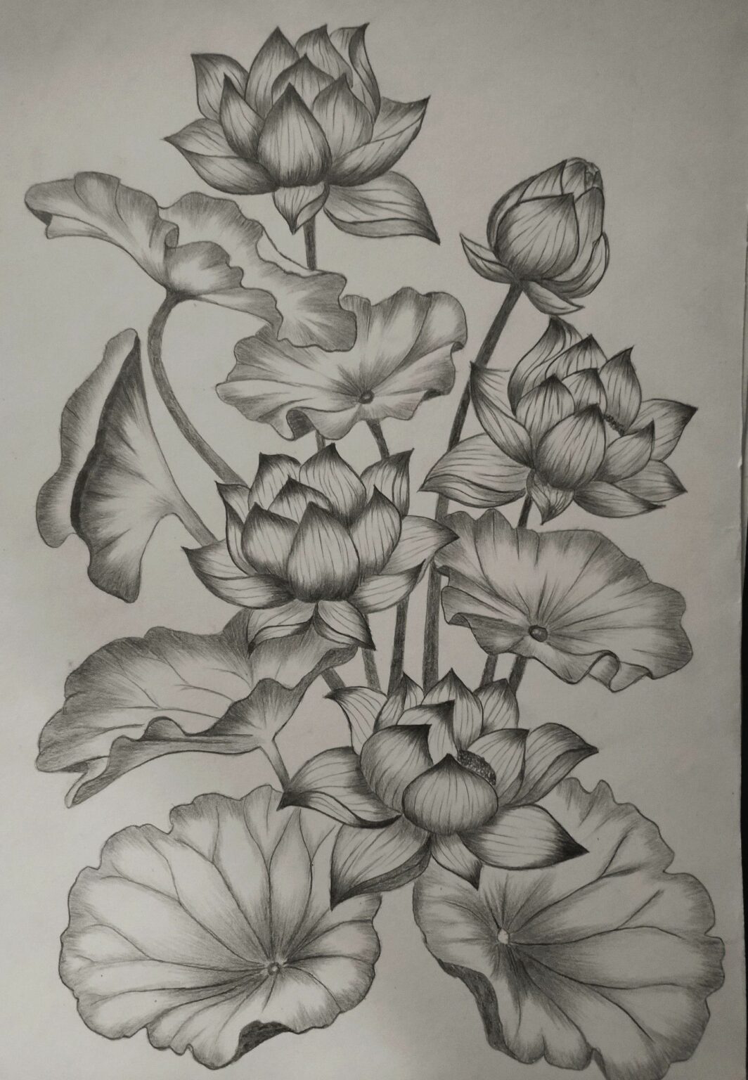 Kumpulan Gambar Sketsa Bunga Terbagus, Menarik dan Terlengkap - Blog ...