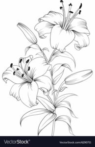 Kumpulan Gambar Sketsa Bunga Terbagus, Menarik dan Terlengkap - Blog ...