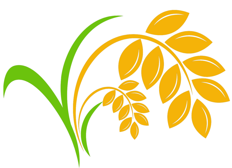 Kumpulan Logo Padi Emas Terbagus dan Paling Menarik - Blog Pengajar Tekno