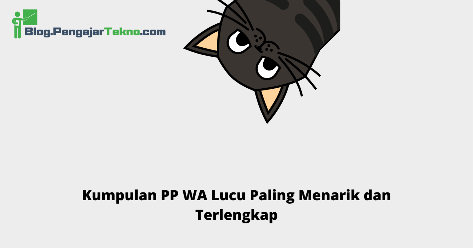 Kumpulan PP WA Lucu Paling Menarik dan Terlengkap - Blog Pengajar Tekno