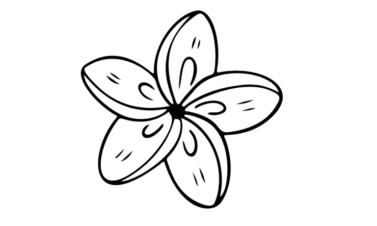 Kumpulan Sketsa Bunga Kamboja Terbagus dan Terlengkap - Blog Pengajar Tekno