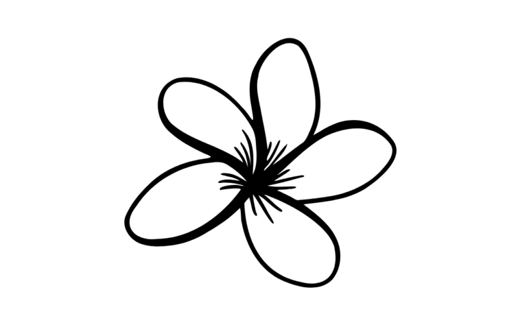 Kumpulan Sketsa Bunga Kamboja Terbagus dan Terlengkap - Blog Pengajar Tekno