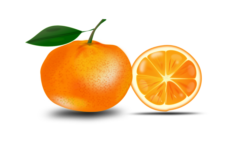 Kumpulan Gambar Jeruk Kartun Terbagus dan Terlengkap - Blog Pengajar Tekno