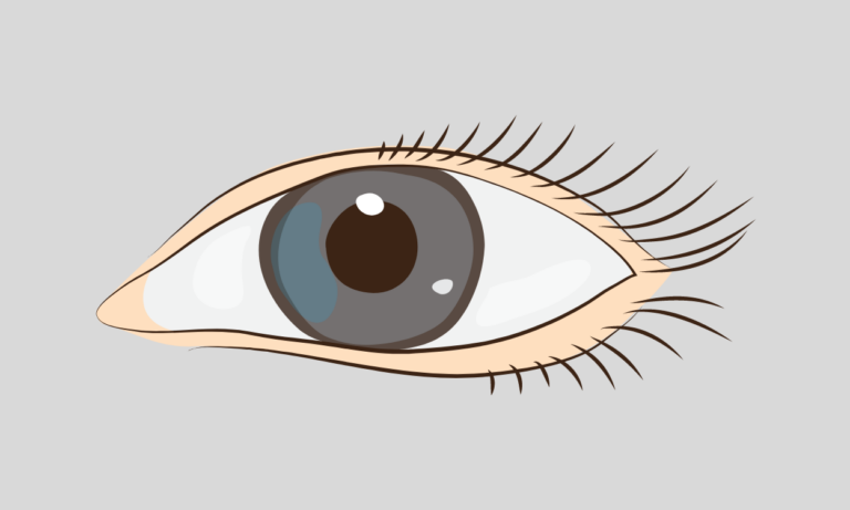 Kumpulan Gambar Mata Kartun Terbagus dan Terlengkap - Blog Pengajar Tekno