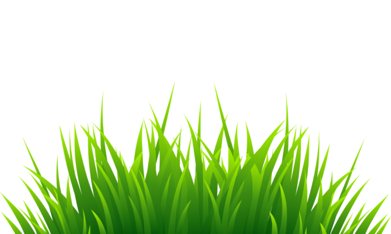 Kumpulan Gambar Rumput Kartun Terbagus dan Terlengkap - Blog Pengajar Tekno