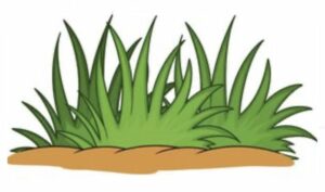 Kumpulan Gambar Rumput Kartun Terbagus dan Terlengkap - Blog Pengajar Tekno