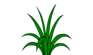 Kumpulan Gambar Rumput Kartun Terbagus dan Terlengkap - Blog Pengajar Tekno