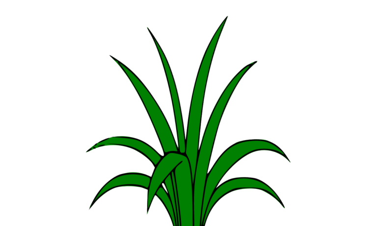 Kumpulan Gambar Rumput Kartun Terbagus dan Terlengkap - Blog Pengajar Tekno