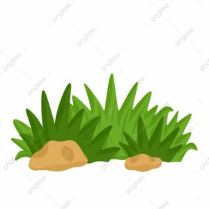 Kumpulan Gambar Rumput Kartun Terbagus dan Terlengkap - Blog Pengajar Tekno