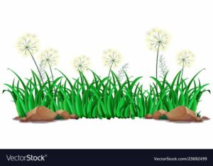 Kumpulan Gambar Rumput Kartun Terbagus dan Terlengkap - Blog Pengajar Tekno