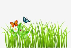 Kumpulan Gambar Rumput Kartun Terbagus dan Terlengkap - Blog Pengajar Tekno