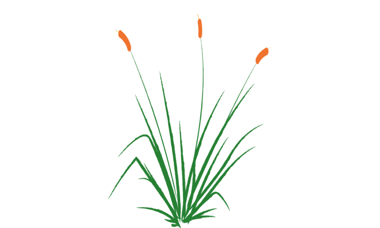 Kumpulan Gambar Rumput Kartun Terbagus dan Terlengkap - Blog Pengajar Tekno