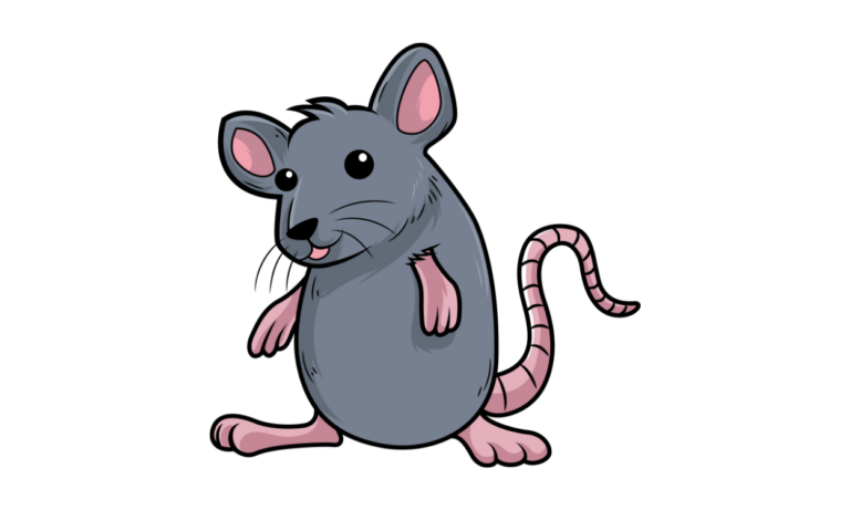 Kumpulan Gambar Tikus Kartun Terbagus dan Terlengkap - Blog Pengajar Tekno