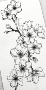 Kumpulan Sketsa Gambar Bunga Sakura Terbagus dan Terlengkap - Blog ...