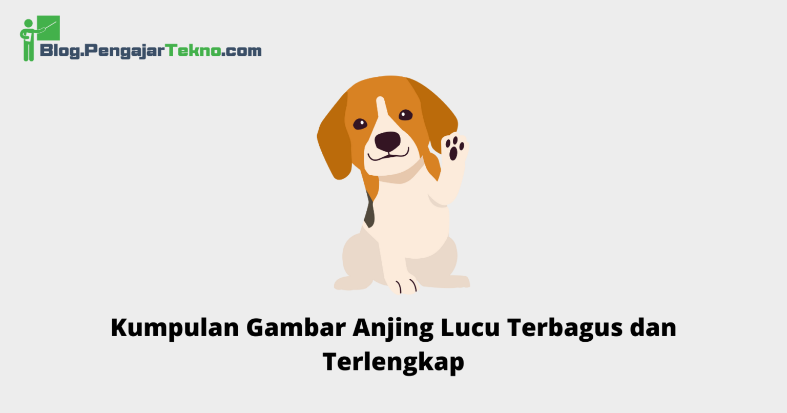 Kumpulan Gambar Anjing Lucu Terbagus dan Terlengkap - Blog Pengajar Tekno
