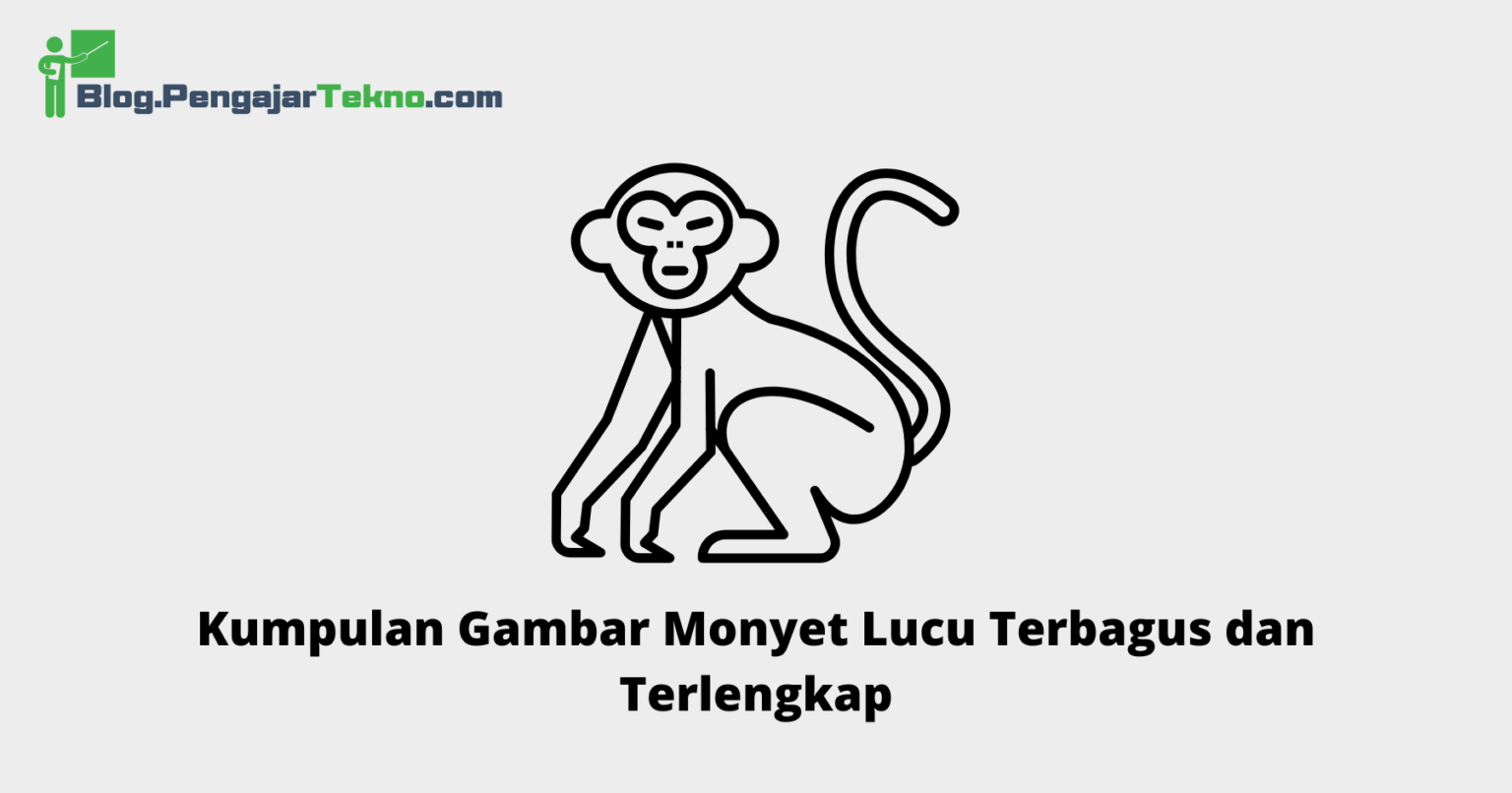 Kumpulan Gambar Monyet Lucu Terbagus dan Terlengkap - Blog Pengajar Tekno