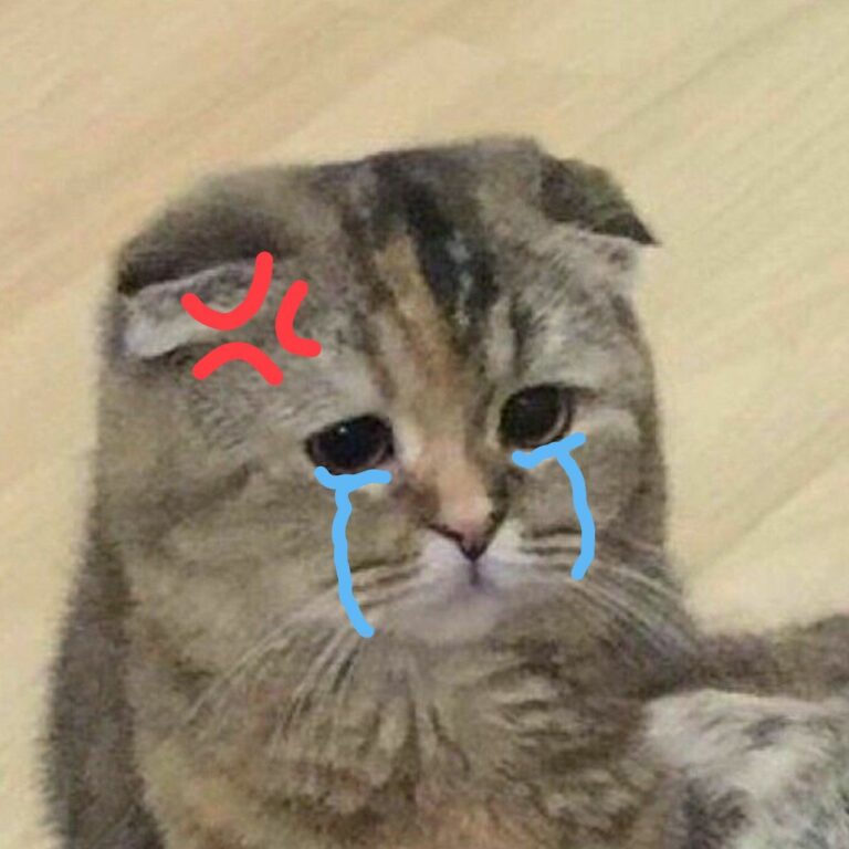 Kumpulan Foto Kucing Lucu Terkece Imut dan Terlengkap - Blog Pengajar Tekno