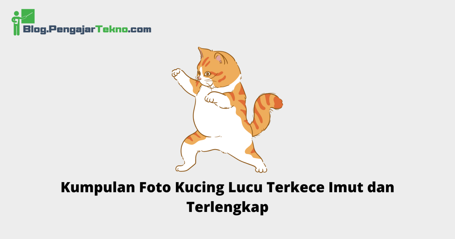Kumpulan Foto Kucing Lucu Terkece Imut dan Terlengkap - Blog Pengajar Tekno