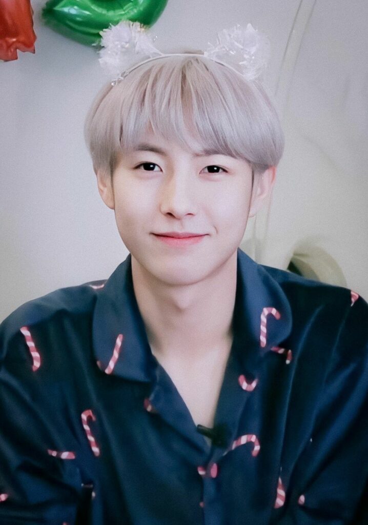 Kumpulan Foto Renjun NCT Keren Terbagus dan Terlengkap - Blog Pengajar ...