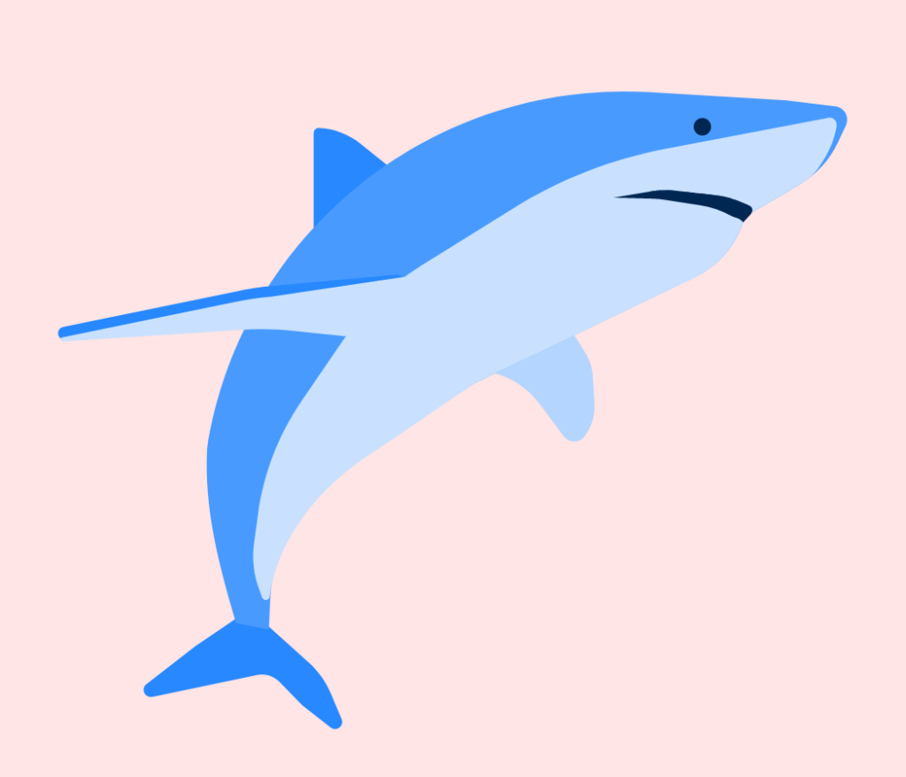 Kumpulan Gambar Ikan Hiu Terbagus dan Terlengkap - Blog Pengajar Tekno