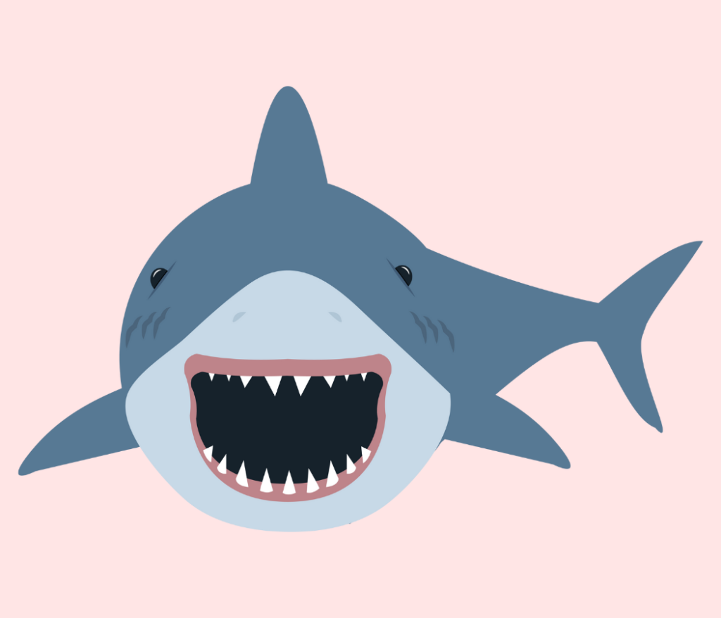 Kumpulan Gambar Ikan Hiu Terbagus dan Terlengkap - Blog Pengajar Tekno