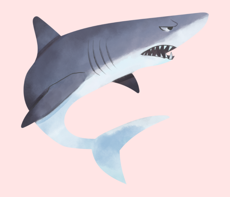 Kumpulan Gambar Ikan Hiu Terbagus dan Terlengkap - Blog Pengajar Tekno