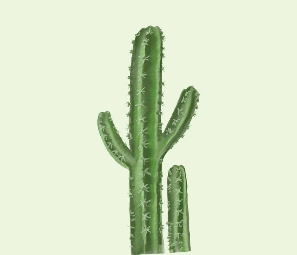 Kumpulan Gambar Kaktus Terbagus dan Terlengkap - Blog Pengajar Tekno