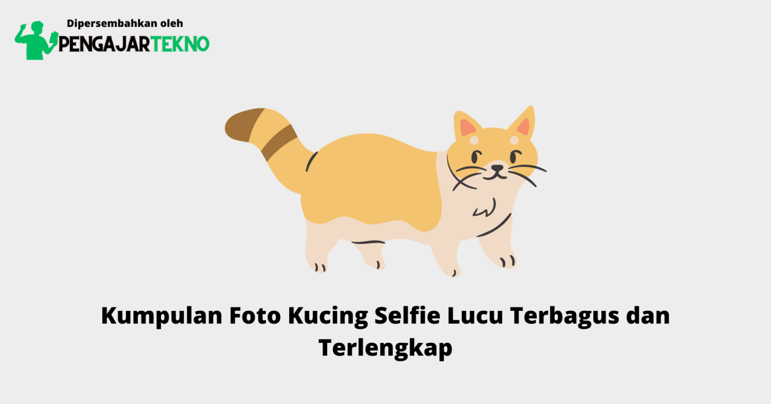 Kumpulan Foto Kucing Selfie Lucu Terbagus dan Terlengkap - Blog ...