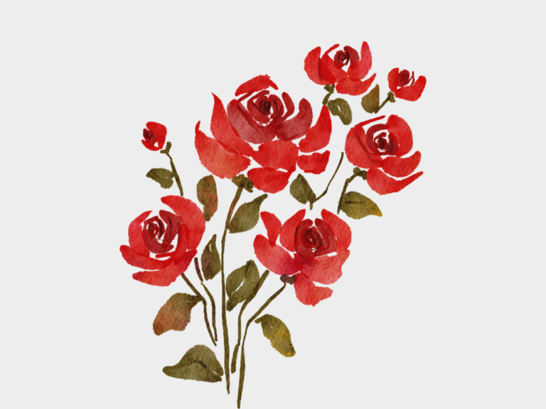 Kumpulan Gambar Mawar Merah Terbagus dan Terlengkap - Blog Pengajar Tekno