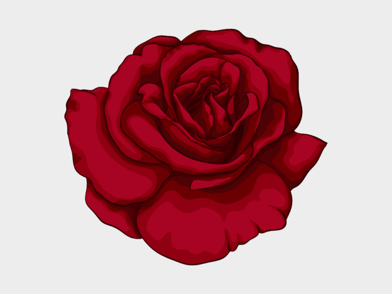 Kumpulan Gambar Mawar Merah Terbagus dan Terlengkap - Blog Pengajar Tekno