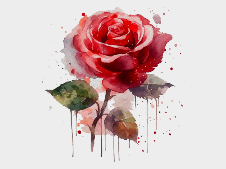 Kumpulan Gambar Mawar Merah Terbagus dan Terlengkap - Blog Pengajar Tekno