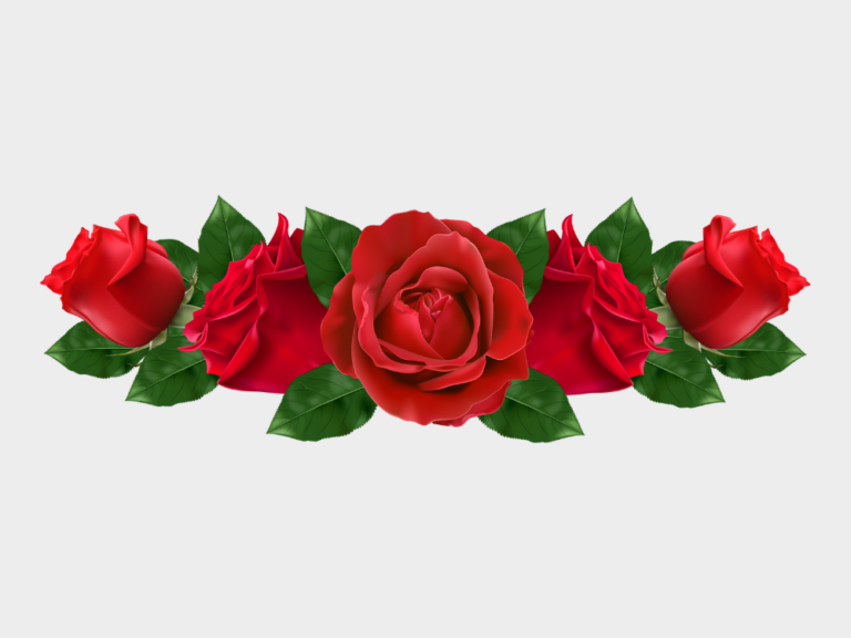 Kumpulan Gambar Mawar Merah Terbagus dan Terlengkap - Blog Pengajar Tekno