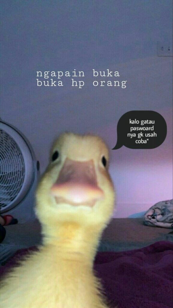 Wallpaper Layar Kunci Meme