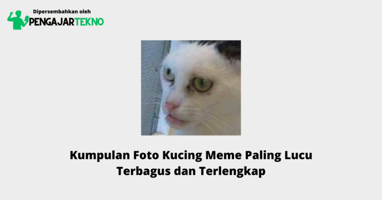 Kumpulan Foto Kucing Meme Paling Lucu Terbagus dan Terlengkap - Blog ...